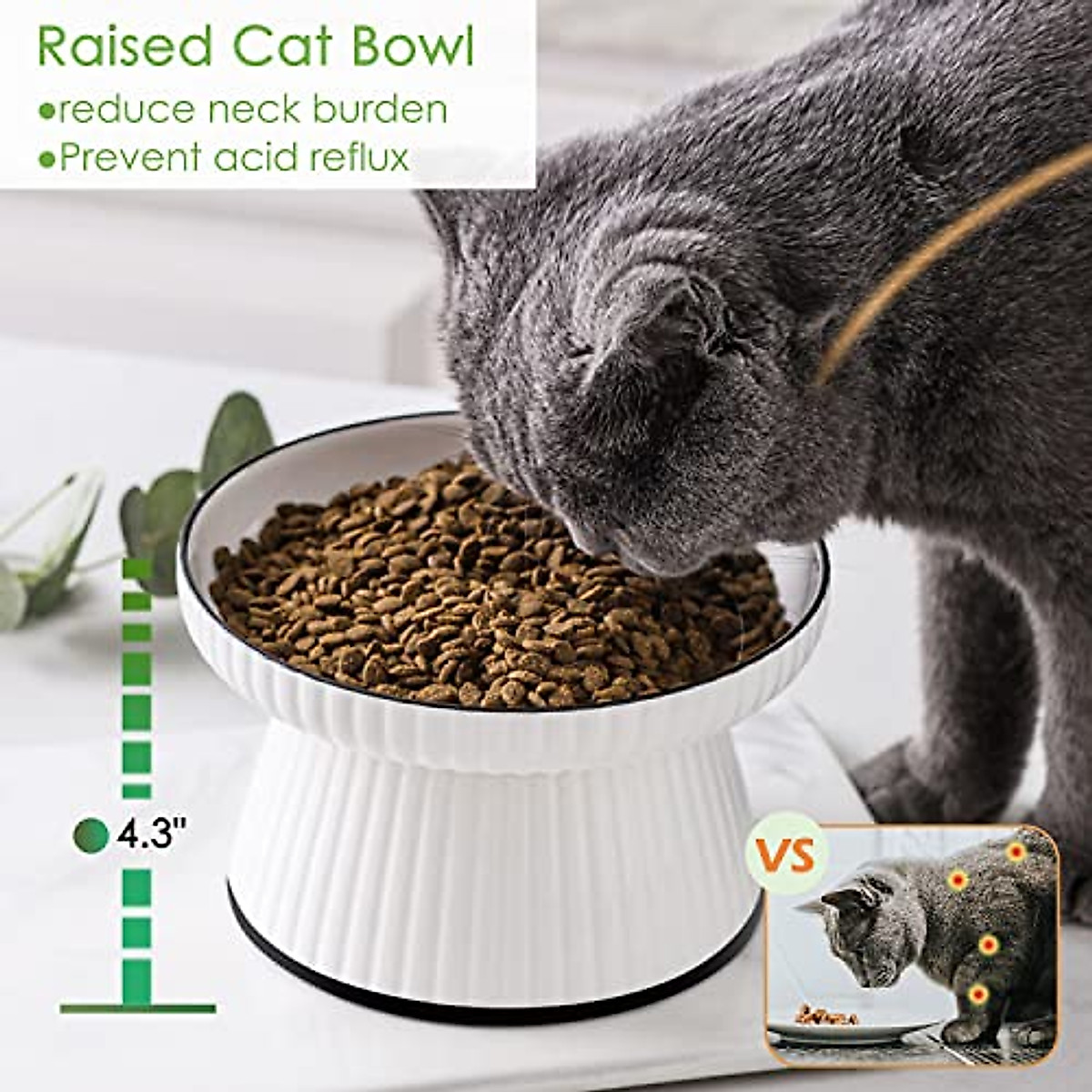 Large Ceramic Elevated Cat Food Bowl,Whisker Friendly Raised Cat Water Bowl,Stress Free Food Feeding Dish,Anti Whisker Fatigue Bowl with Anti-Slip Strip for Cats & Small Dogs,Non Tipping