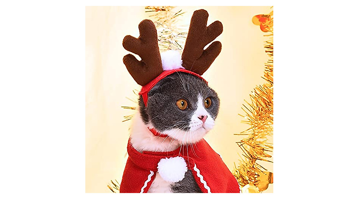 Adorable Cat Christmas Costume Set for Festive Fun