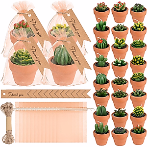 MTLEE 24 Pcs Succulent Candle Tealight Candles Bulk Baby Shower Plant Candles Novelty Fiesta Terrarium Plant Candles with Terracotta Pot Organza Bag Tags Twine for Birthday Wedding Baby Shower Party
