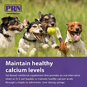 PRN Pharmacal Calsorb - Calcium Nutritional Supplement to Help Maintain Healthy Calcium Levels in Dogs - Gel-Based Dog Nutritional Supplement in an Easy-to-Use Syringe - 12 mL Syringe (3 Packs)