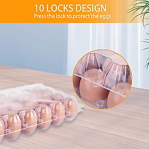 Oungy 36 PCS Plastic Egg Cartons Cheap Bulk 24 Count Clear Blank Egg Cartons with Free Labels Holds up to 24 Eggs Securely Reusable Egg Carton for Family Pasture Chicken Farm Market Display, 4x6 Grids