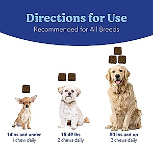 Angels’ Eyes PLUS Tear Stain Prevention Soft Chews for Dogs | 120 ct Beef Flavor| For All Breeds | No Wheat No Corn | Daily Supplement | Proprietary Formula