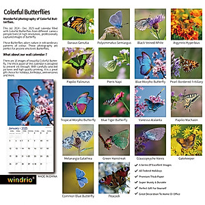 2024 2025 Wall Calendar, 18 Months July 2024 - December 2025, Wall Calendar Colorful Butterfly, 12" x 24" Opened,Full Page Months Thick & Sturdy Paper for Gift Perfect Calendar Organizing & Planning