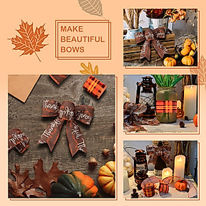 Fall Wired Ribbon,2 Rolls Thanksgiving Pumpkin Ribbon,10 Yards 2.5In Autumn Pumpkins Wired Edge Ribbon,DIY Wired Wrapping Craft Ribbon for Home Thanksgiving Decor Wrapping DIY Crafts (Thanks-Lattice)