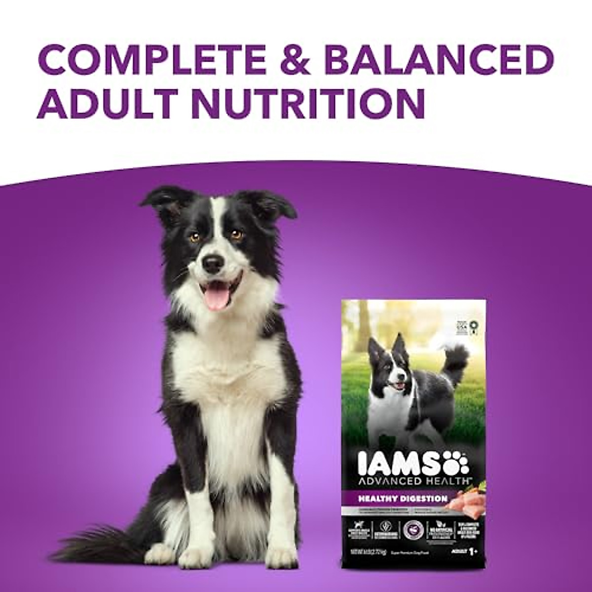 Iams Advanced Health Adult Healthy Digestion Dry Dog Food with Real Chicken, 6 lb. Bag