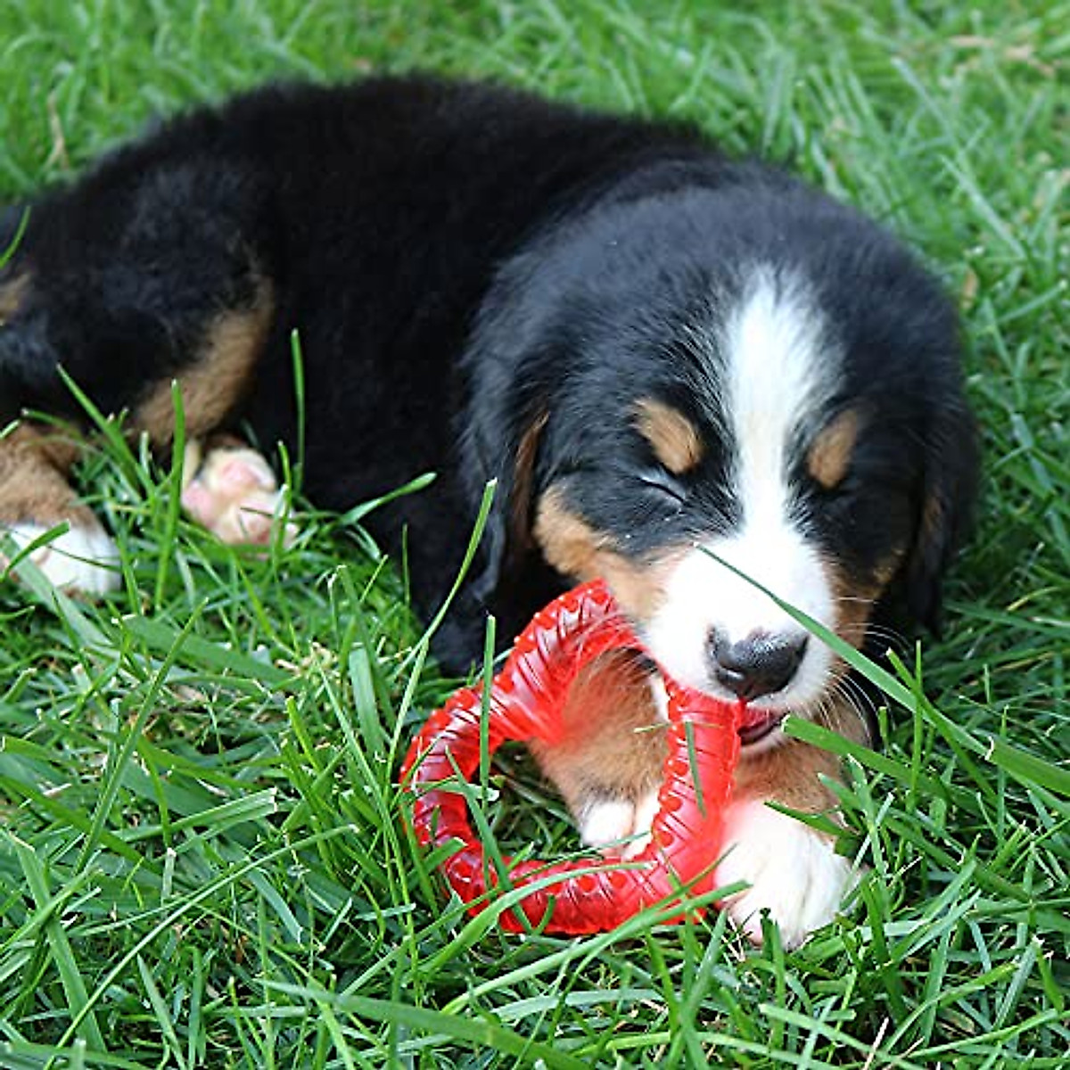 SmartPetLove Snuggle Puppy Teething Comfort Aid for Puppies - Naturally Soothe and Provide Relief with Ice (Heart Shaped)