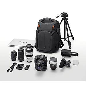 Sony LCSBP3 DSLR System Backpack with Laptop Storage, (Black),Large