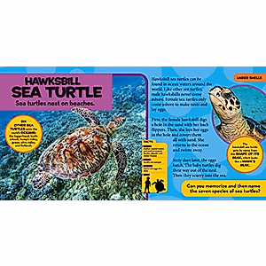 National Geographic Little Kids First Big Book of Reptiles and Amphibians (National Geographic Little Kids First Big Books)