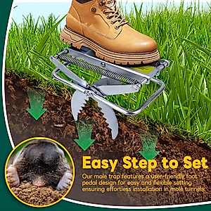 Mole Trap Scissor 2 Pack, Upgraded Mole Traps for Lawns That Kill Best, Galvanized Steel Mole Killer, Easy Step Setup