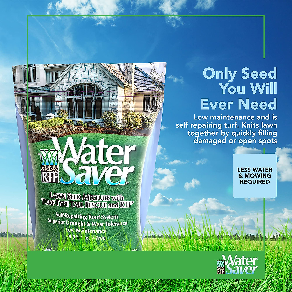 WaterSaver Grass Mixture with Turf-Type Tall Fescue Used to Seed New Lawn and Patch Up Jobs-Grows in Sun or Shade, 10 lbs-Covers 1/20 Acre