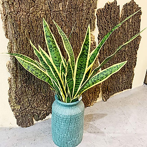 Ollain 4 PCS Artificial Sansevieria Plants 30 Inch Tall Fake Snake Faux Plant for Indoor and Outdoor Home Garden Office Store Decoration (Yellow Edge)