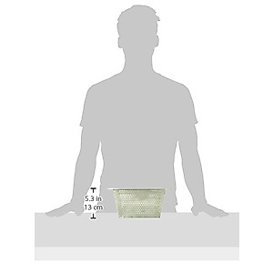 Excellante Commercial Floor Drain Strainer, 304 Stainless Steel, 0.8Mm, 10-Inch by 10-Inch by 5-Inch