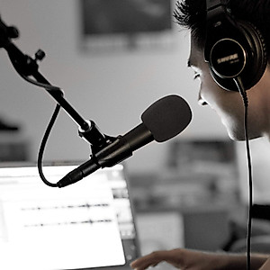 Microphone Cover - Foam Mic Covers Windscreen Suitable for Most Standard Handheld Microphone 6 PCS