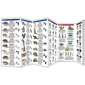 Animal Tracks: A Folding Pocket Guide to the Tracks & Signs of Familiar North American Species (Nature Observation North America)