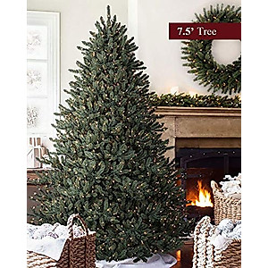 Balsam Hill 7ft Premium Pre-lit Artificial Christmas Tree 'Traditional' Classic Blue Spruce with Clear LED Lights, Storage Bag, and Includes Fluffing Gloves, and Extra Bulbs