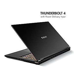 Sager 2023 NP8875D Gaming Laptop, 17.3 Inch UHD 144Hz 100% DCI-P3 G-Sync, Intel i9-13900HX, RTX 4060 8GB, 32GB RAM, 2TB Gen4 NVMe SSD, Win 11