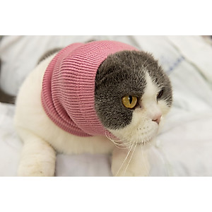 DDFS No Flap Ear Wrap Cat Small (6 Pack), Dedication No Flap Ear Wraps Cat No Flap Ear Wrap Pinpoint Mesh Wine Red S