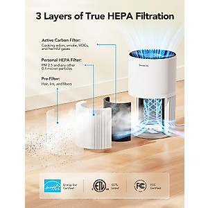 GoveeLife Mini Air Purifier for Bedroom, HEPA Smart Filter Air Purifier with App Alexa Control for Pet Hair, Odors, Pollen, Smoke, Portable Air Cleaner with 3 Speeds, 2 Modes, Timer, Aroma for Home