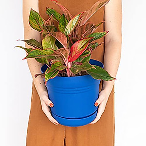 Bloem Planter Saturn CL BL 10"