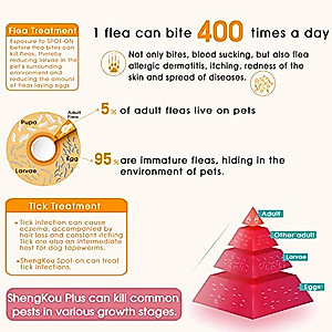 Cat Flea and Tick Treatment and Prevention, Effective Spot-On Made with Natural Formula, 2-25 lbs, (9 Month Supply)