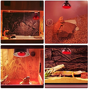 LUCKY HERP Infrared Heat Lamp 100W 2 Pack，Reptile & Amphibian Basking Spot Light Bulbs, Red Heat Lamp Bulbs for Reptiles, Bearded Dragon, Turtle, Lizard, Snake, Chicken