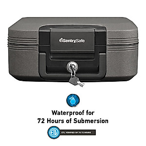 SentrySafe Dark Gray Fireproof and Waterproof Safe with Key Lock, Chest Lock Box with Carrying Handle for Travel, 0.28 Cubic Feet, 6.6 x 15.4 x 14.3 Inches, CFW20201