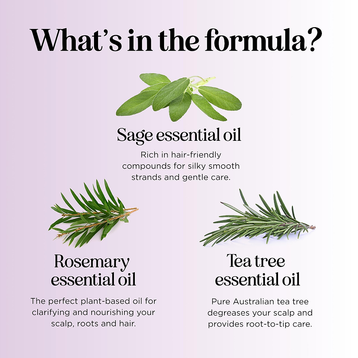 Sage and Rosemary Shampoo Sulfate Free - Sage Oil Clarifying Shampoo for Build Up and Scalp Moisturizer - Oily Hair Shampoo for Greasy Hair and Dry Scalp Treatment with Essential Oils for Hair