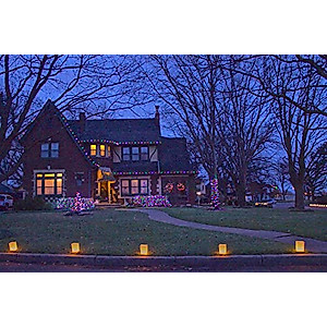 Set of 6 Brown Luminaries, Light String, Bulbs & Stakes