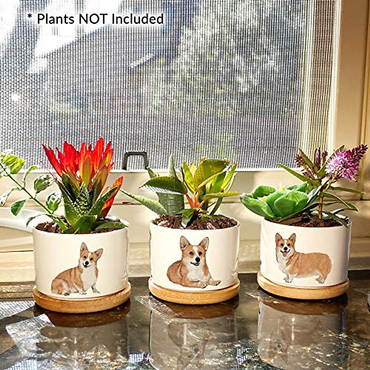 GIFTGIRL Corgi Gifts for Corgi Lovers - Our Corgi Succulent Planters Make Great Corgi Gifts for Women and are Perfect Corgi Gifts for Girls. All Corgi Lovers, Love Corgi Gifts