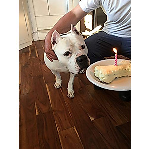 Petcakes Birthday Cake Kit For Dogs, 7" x 4.5" x 3"