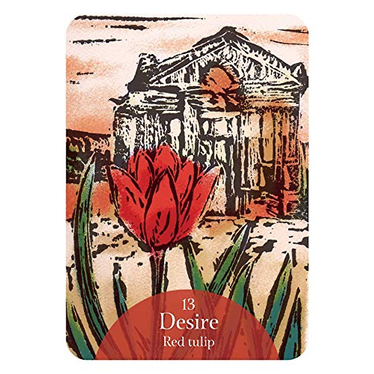 The Language of Flowers Oracle: Sacred botanical guidance and support (44 Full-Color Cards and 144-Page Guidebook) (Rockpool Oracle Card Series)