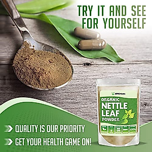 XPRS Nutra Organic Nettle Leaf Powder - Premium USDA Organic Stinging Nettle Powder for Hair and Nails - Vegan Friendly Energy Boosting Organic Stinging Nettle Leaf (4 oz)