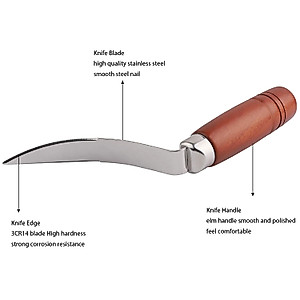 CHWAIKA Coconut Tool Coconut Meat Remover Durable Wooden Handle Stainless Steel Coconut Opener Scraper Knife Kitchen Accessories