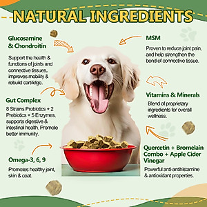 Dog Multivitamin, Probiotics for Dogs 180 Bites