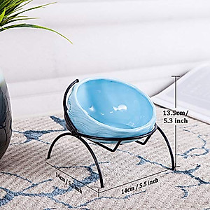 Jemirry Ceramic Elevated Cat Bowl Anti Vomiting, 15° Tilted Food and Water Cat Bowl Set, Raised Pet Bowl with Non-Slip Stand for Cat and Dog, Protect Pet's Spine, Microwave Dishwasher Safe, Sky Blue