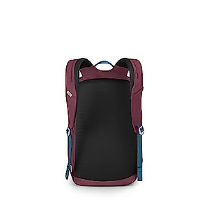 Osprey Arcane XL Day Everyday Backpack, Allium Red/Brindle Brown, One Size