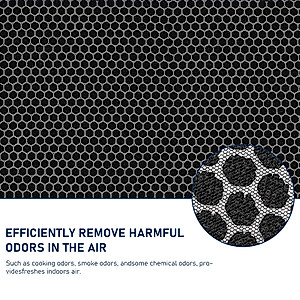 2 Pack G3 True HEPA Replacement Filter FXAP2W Compatible with AMEIFU G3 Sferf-30 (FXAP2W) Air Cleaner Purifier, VEWIOR A3 and Tailulu HQZZ-260 Air Cleaner Purifier,3 in 1 Filtration HEPA Filter