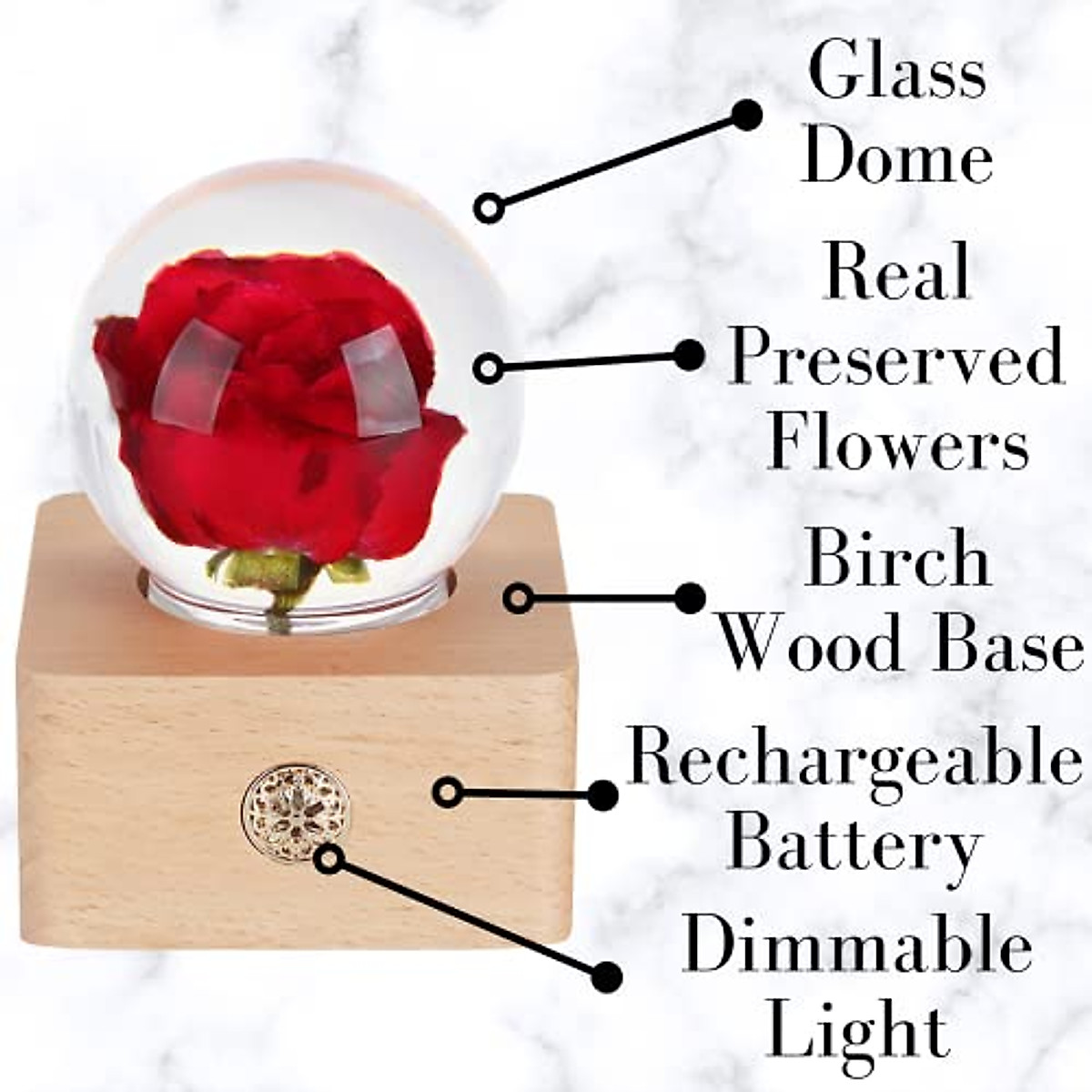 Ellington Gifts Real Preserved Flower Glass Ball Night Light | Dimmable Battery LED, Real Eternal Flowers, Birthday Gifts for Women Mom Girlfriend, Special Anniversary, Valentine's Day (Red Rose)
