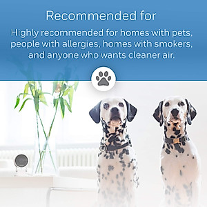 Honeywell Home CF100A1009/U MicroDefense AC Furnace 4 Inch High Efficiency Air Filter, 16x25x4