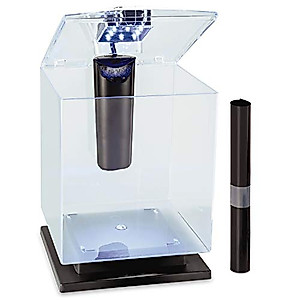 Tetra GloFish Betta Aquarium Kit 1.5 Gallons, Easy Setup and Maintenance, Perfect Starter Tank,Black/Clear