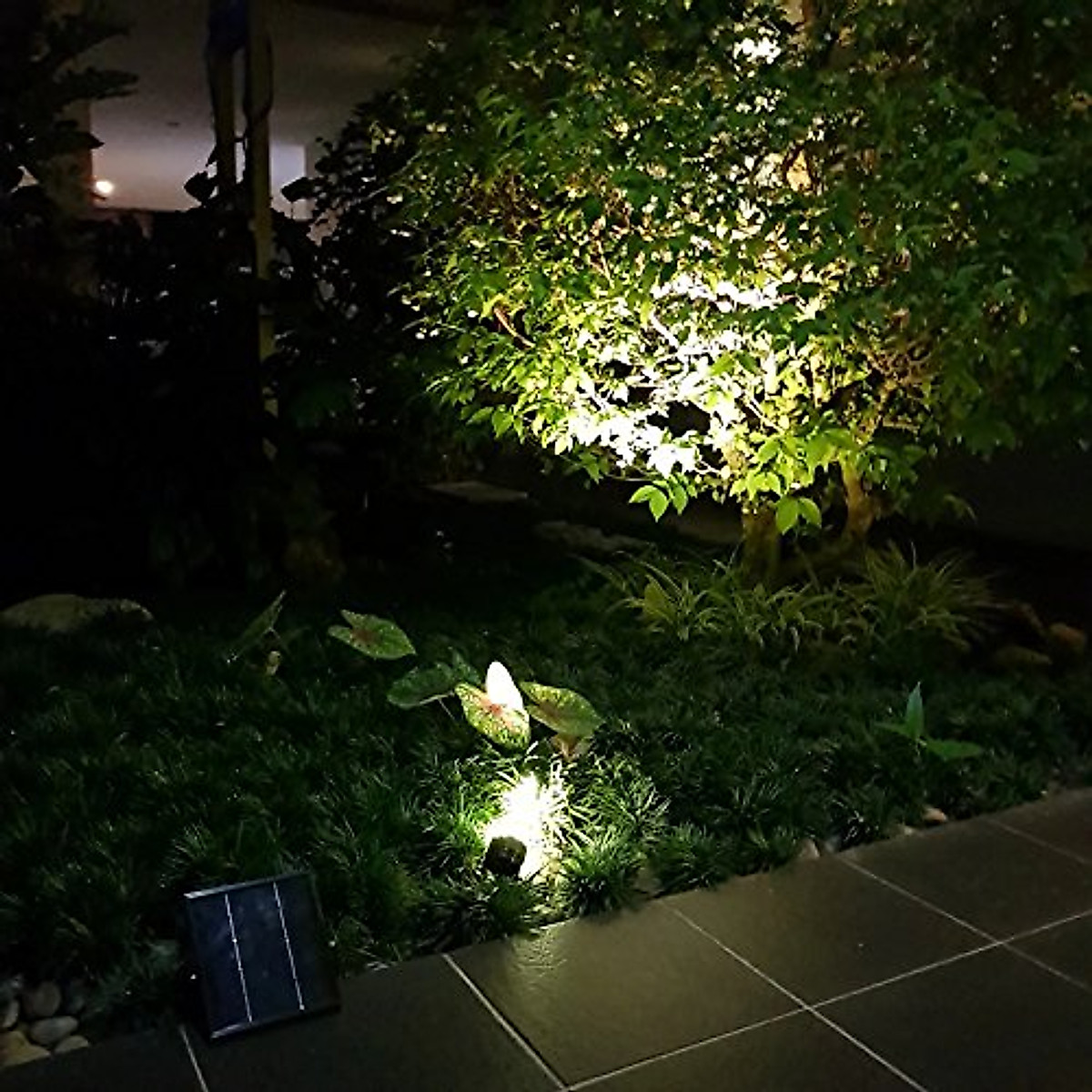 Legacy Mini 50X Twin Solar-Powered LED Spotlight (Warm White LED) for Outdoor Garden Yard Landscape Uplight Downlight, Waterproof, Black Finish