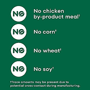 NUTRO NATURAL CHOICE Large Breed Adult Dry Dog Food, Lamb & Brown Rice Recipe, 40 lb. Bag