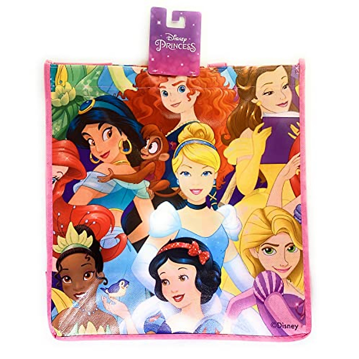 Sketchbook Disney Princess Reusable Tote Bag - 12.5 x 13 Inch