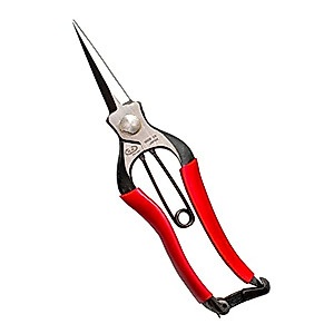 RANSHOU Japanese Garden Shears 7.8” Made in JAPAN, Professional Garden Scissors for Gardening, Harvesting, Bonsai, Ikebana, Hand Forged Japanese Steel Blade, Non-Slip Red