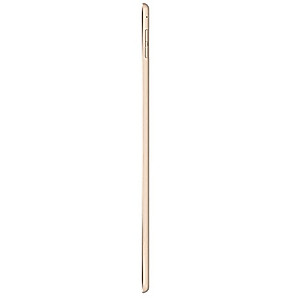 Apple iPad Air 2, 16GB, 4G + Wi-Fi - Gold (Renewed)