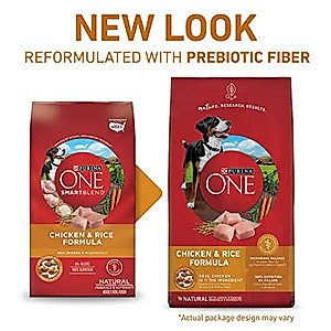 Purina Bundle Pack Adult Dry Dog Food and Treats, ONE Chicken and Rice Formula with DentaLife ActivFresh