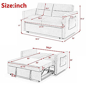 Gynsseh Pull Out Loveseat Sleeper, Adjustable Sleeper Loveseat Couch with Pull Out Bed and Side Pockets, 3-in-1 Convertible Sleeper Sofa Bed for Small Spaces Living Room (S3-Gray)