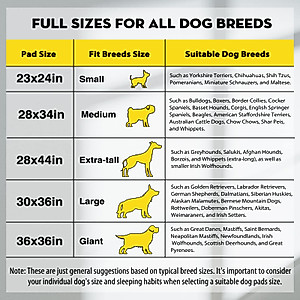 CROCI Charcoal Puppy Pads 28x34in Extra Large Dog Pads, Odor-Control Dog Pee Pads, Leak-Proof Quick-Dry Dog Training Pads, Disposable (40 Counts)