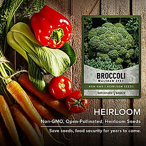 Broccoli Seeds for Planting is A Great Heirloom, Non-GMO Vegetable Variety- 1 Gram Seeds Great for Outdoor Spring, Winter, and Fall Gardening by Gardeners Basics