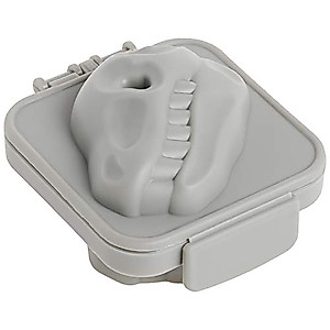 Genuine Fred Dino Genuine Fred MATIC Hard-Boiled Egg Mold, Small